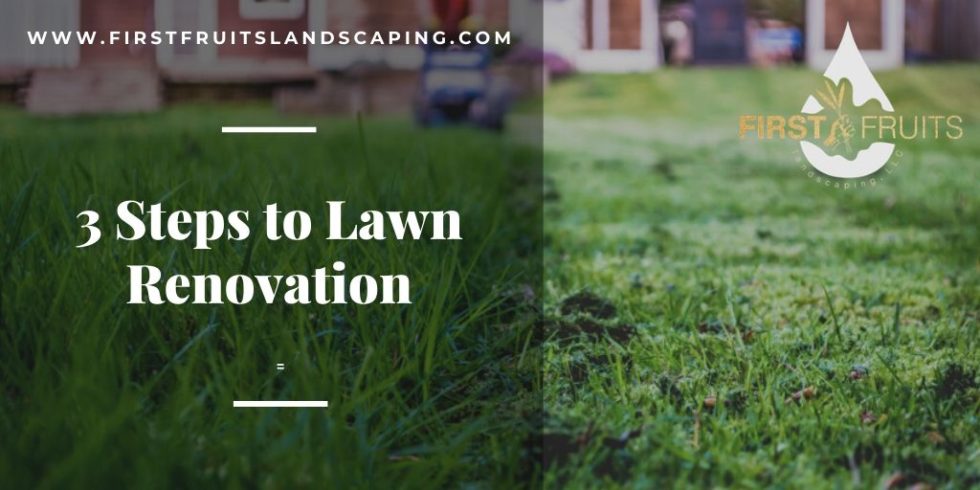 3 Steps to Lawn Renovation - FirstFruits Landscaping