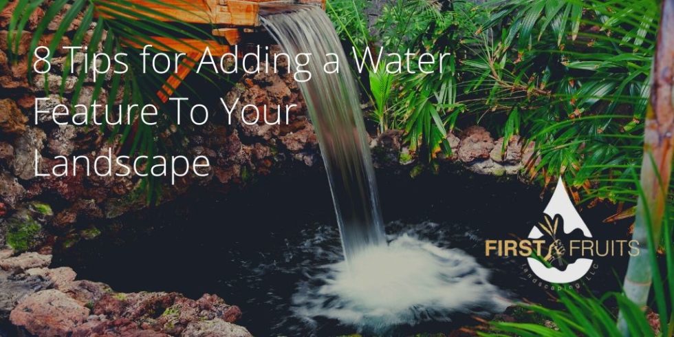 8 Tips for Adding a Water Feature To Your Landscape - FirstFruits ...