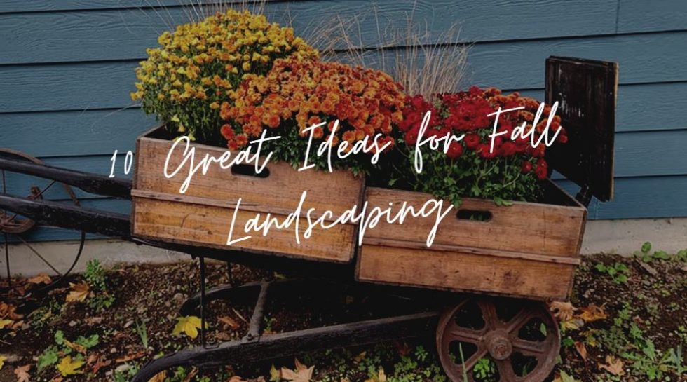 10 Great Ideas for Fall Landscaping - FirstFruits Landscaping