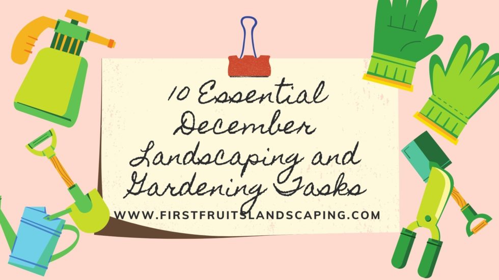 10 Essential December Landscaping and Gardening Tasks
