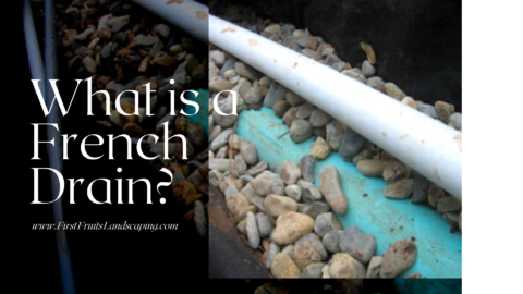 What is a French Drain and How Do They Work?