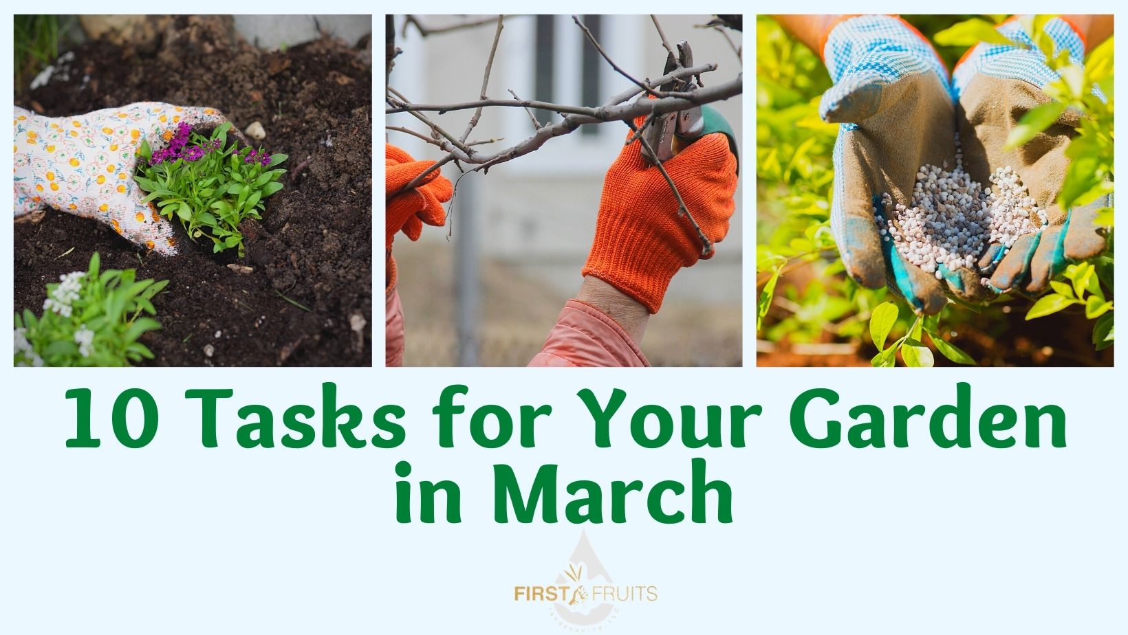 10 Useful Tasks for Your Garden in March - FirstFruits Landscaping