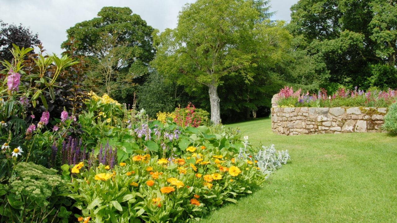 Landscape Design Ideas for Different Types of Yards