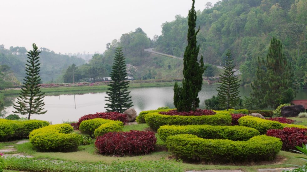 Landscape Design Ideas for Different Types of Yards