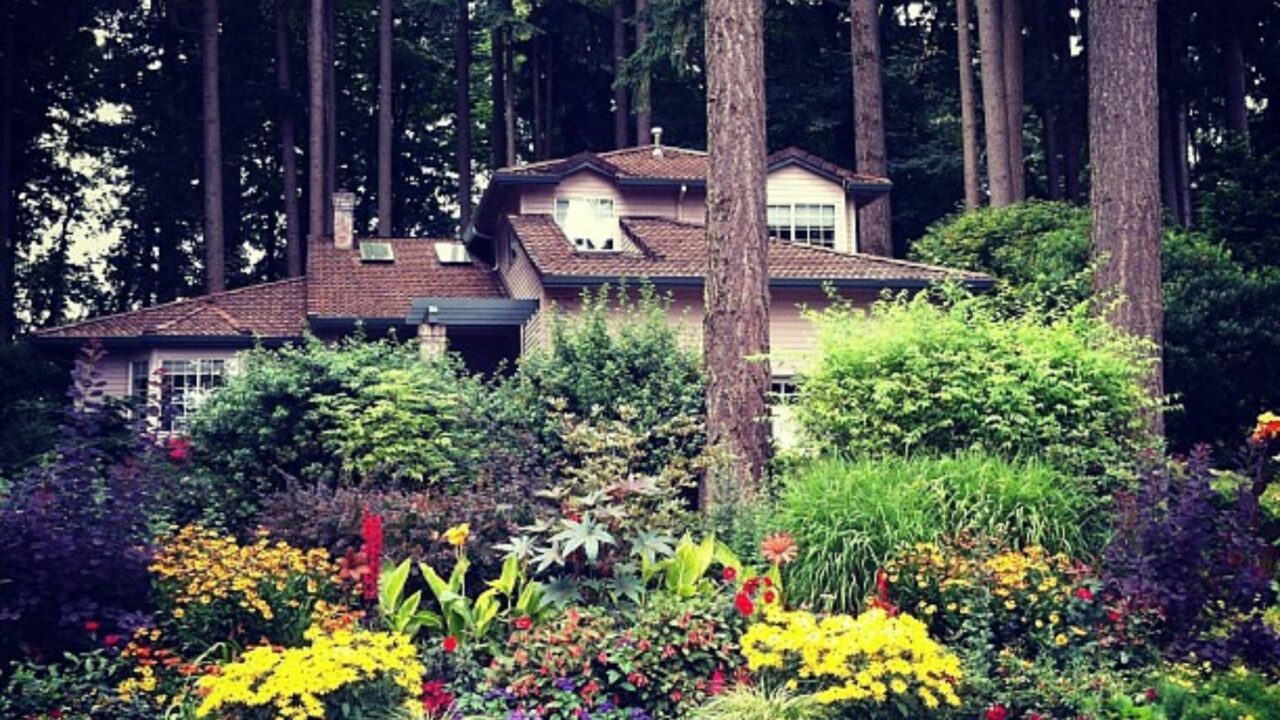 Landscape Design Ideas for Different Types of Yards