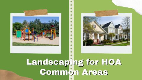Landscaping for HOA Common Areas