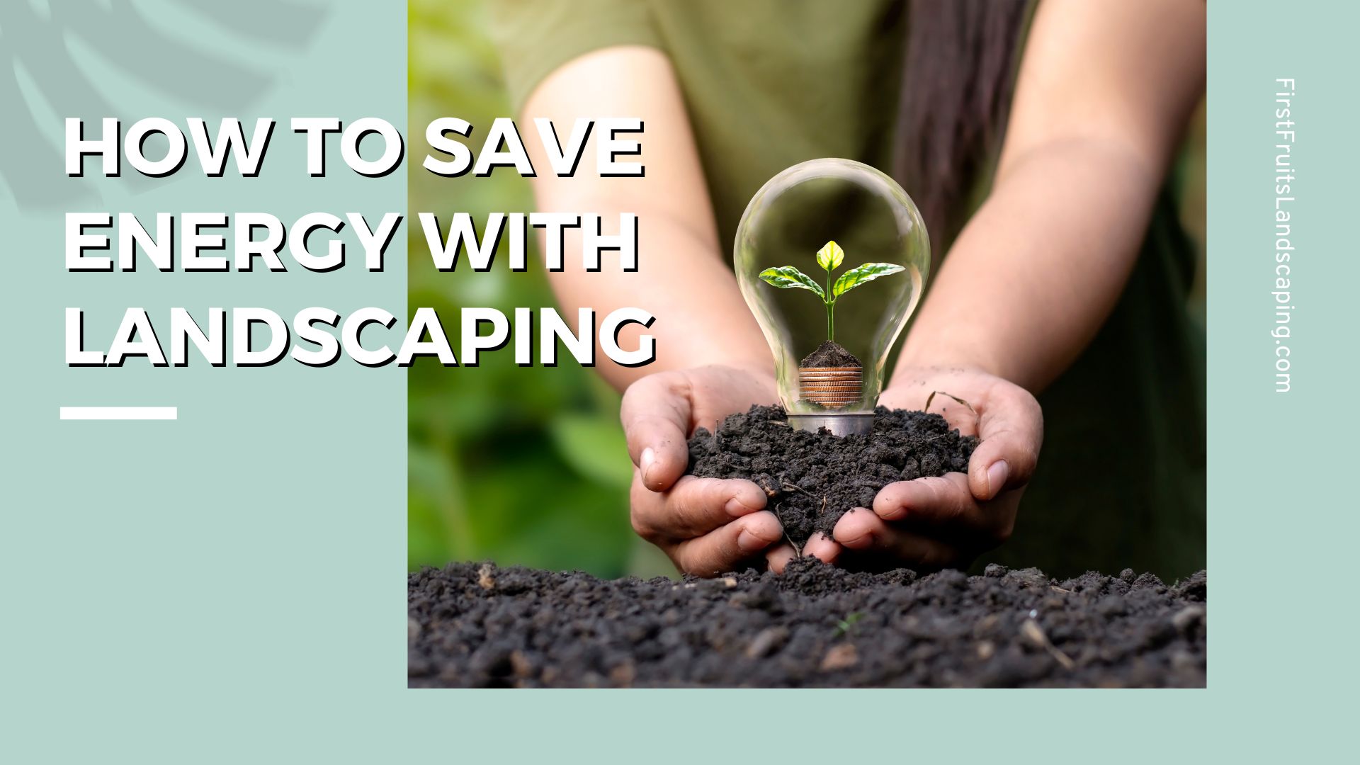 How to Save Energy with Landscaping | FirstFruits Landscape