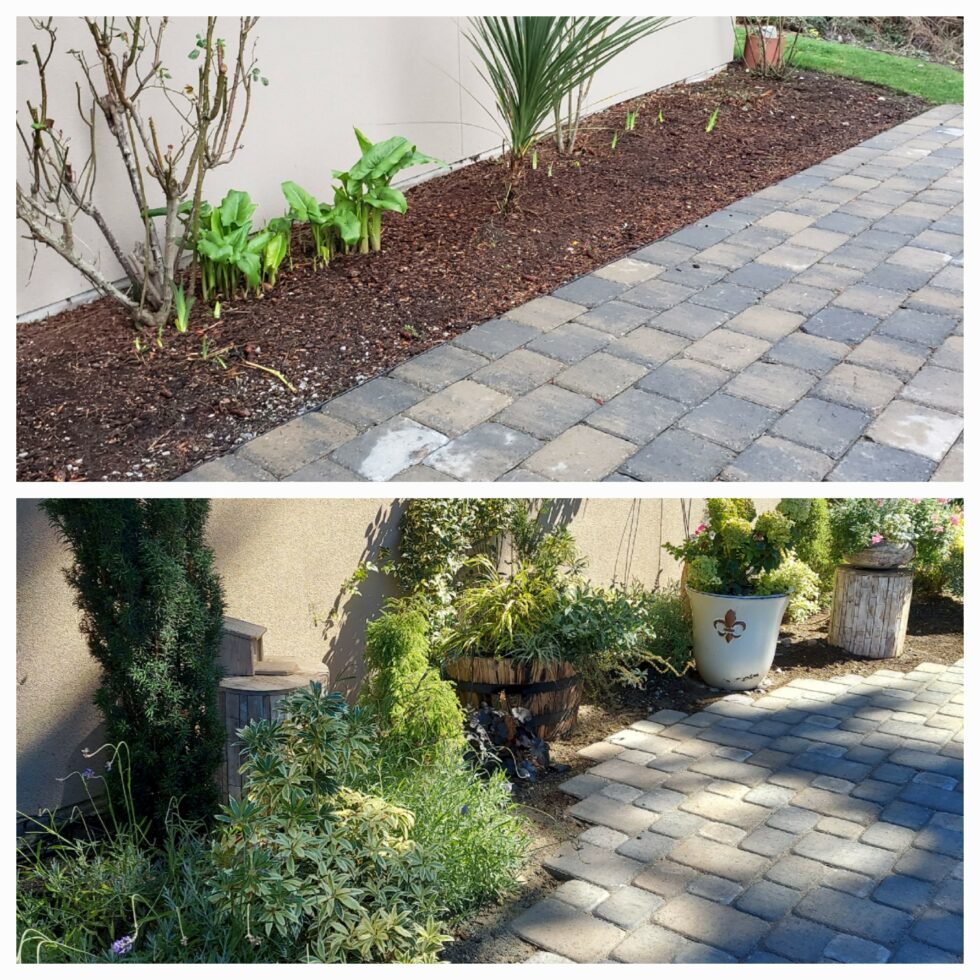 Before and After Landscaping Projects Portfolio Gallary
